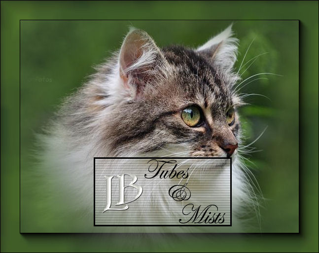 LB TUBES & MISTS: ANIMALES