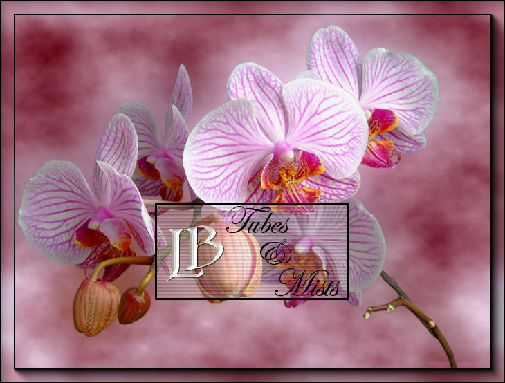 LB TUBES & MISTS: FLORES