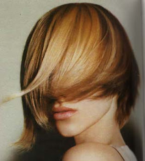 Hairstyles: 2009 Hairstyles - Blonde