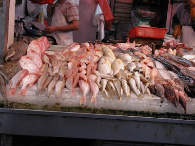 Food Lorists: Why is fish meat rich in highly unsaturated fats?