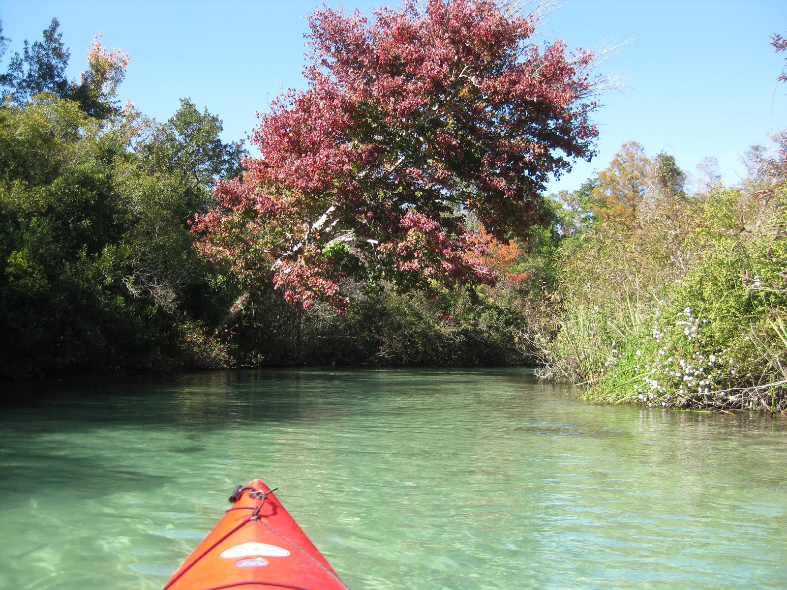 Dave's Yak Tales: Weeki Wachee River