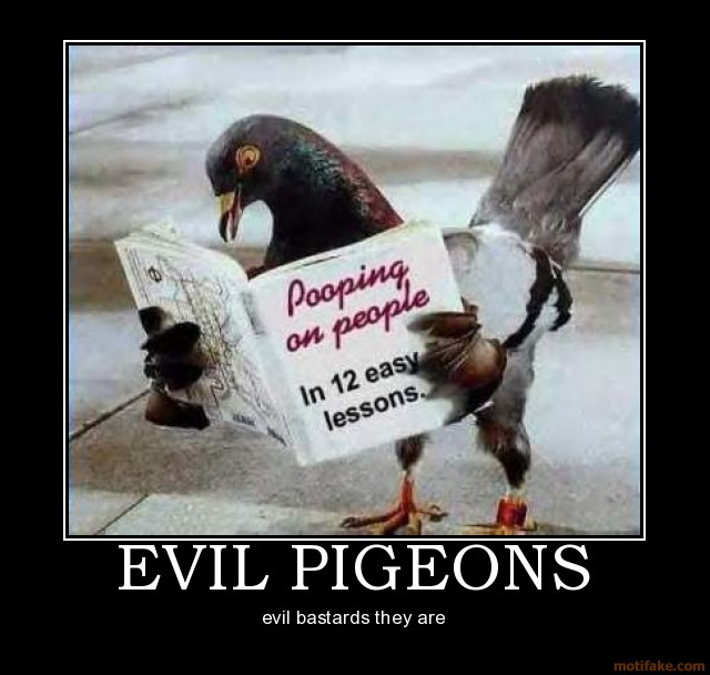 Classic Devans: Why Does This Exist? Volume 1: Pigeons