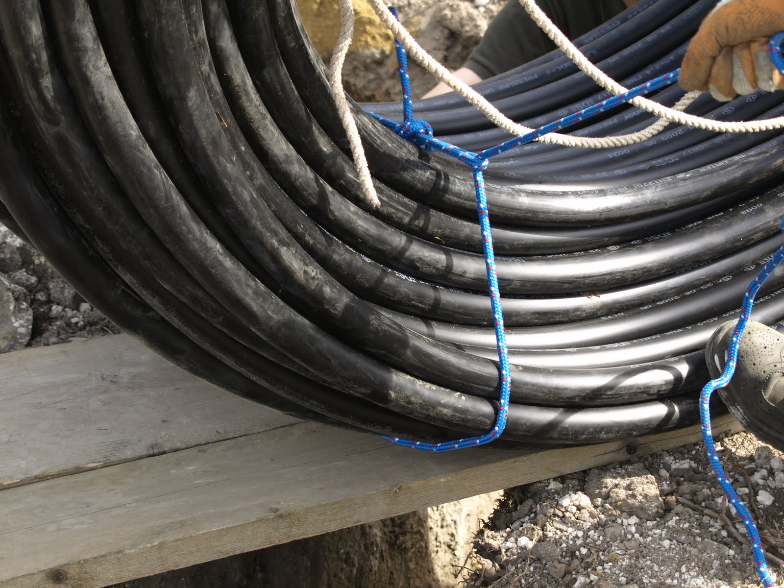 DESIGNED: TO BREATHE: 04/01/2010 - 05/01/2010