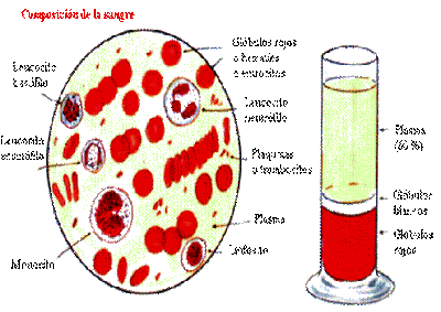 4L2M Velarde Hernandez MESA 5: Practica No. 9