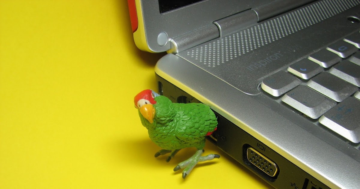 Kiwi's Angels: Parrot USB Flash Drive