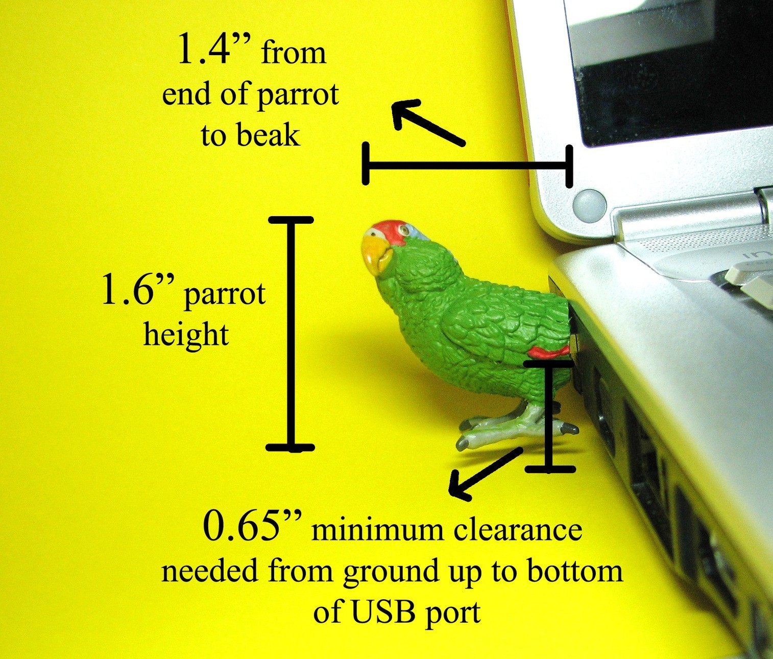 Kiwi's Angels: Parrot USB Flash Drive