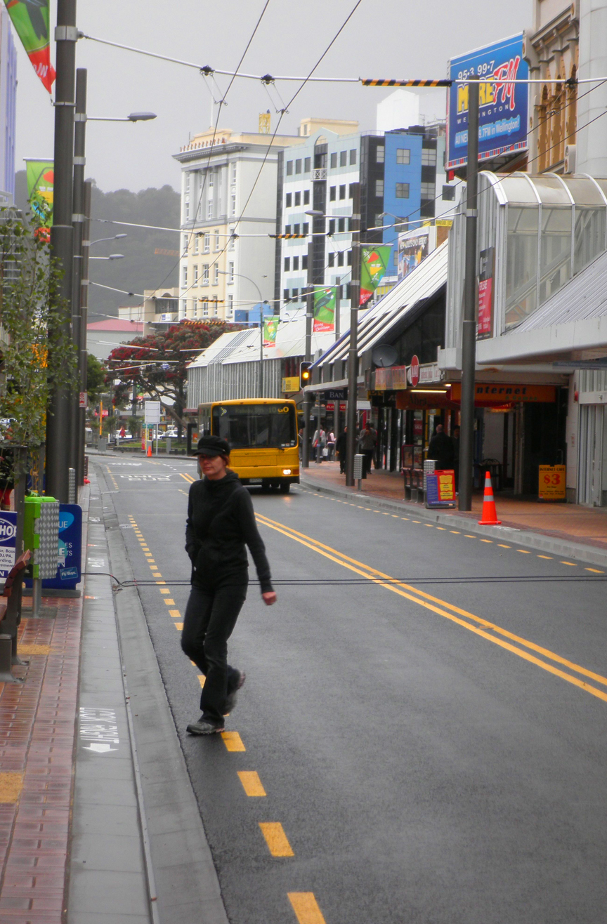 Wellington Daily Photo: #1287 ... Humans + buses