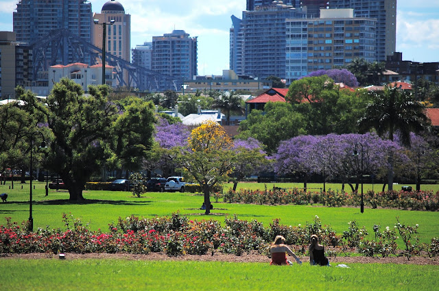 Brisbane Daily Photo : Getting some colour at New Farm Park