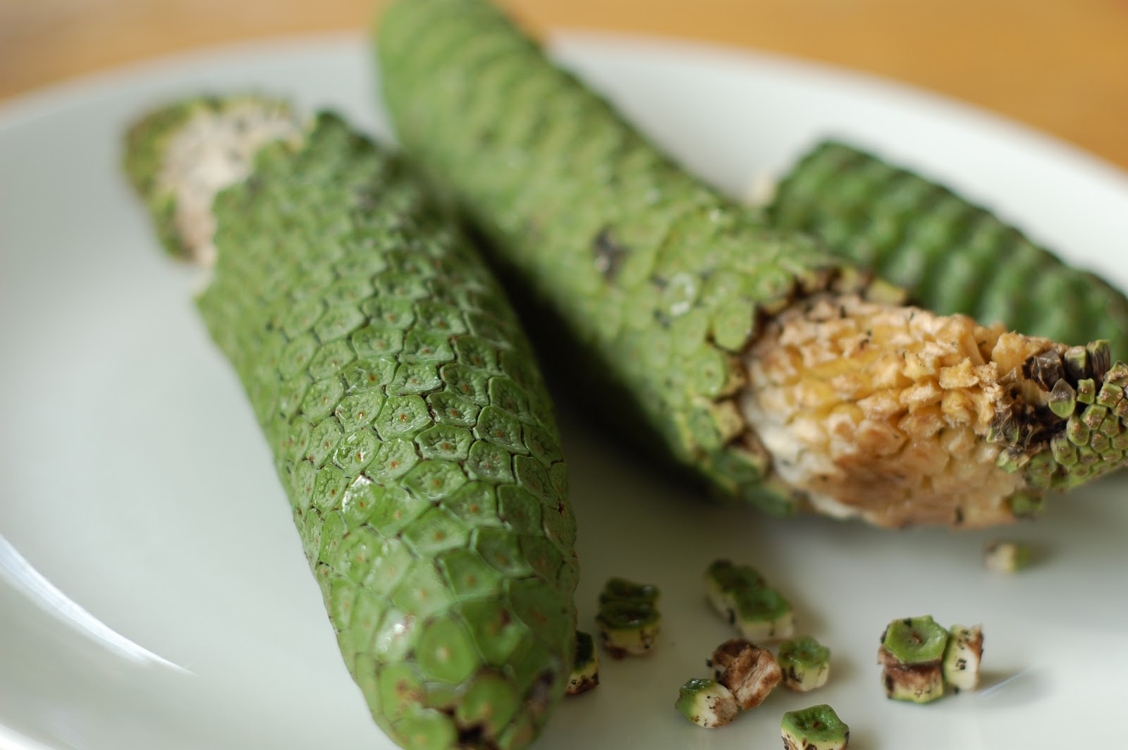 Brisbane Daily Photo : Monstera fruit