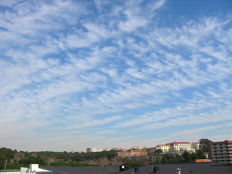 Tormentas y Ciudades: 6 preciosas fotografías de nubes Cirrus