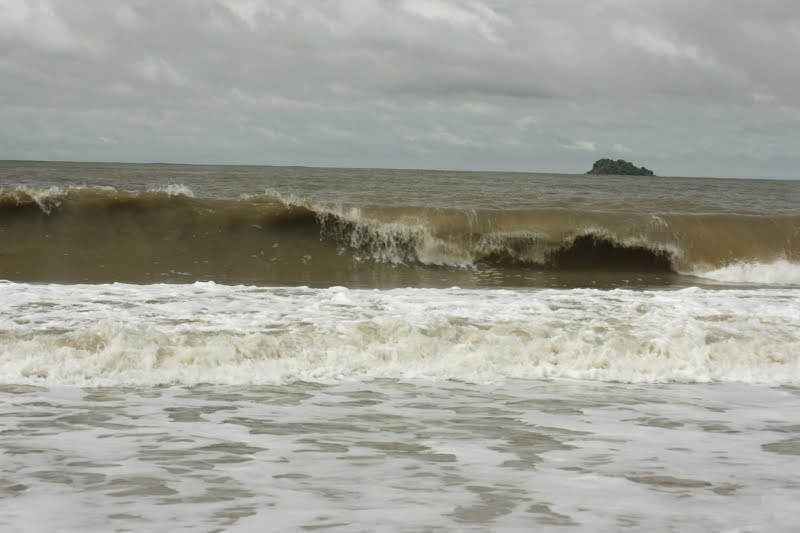 Les images de Marion: Premières impressions
