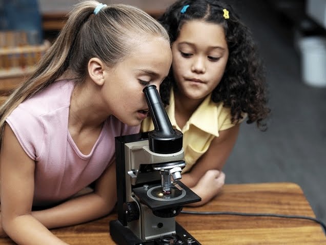 Philosophy of Science Portal: "Scigirls"...PBS