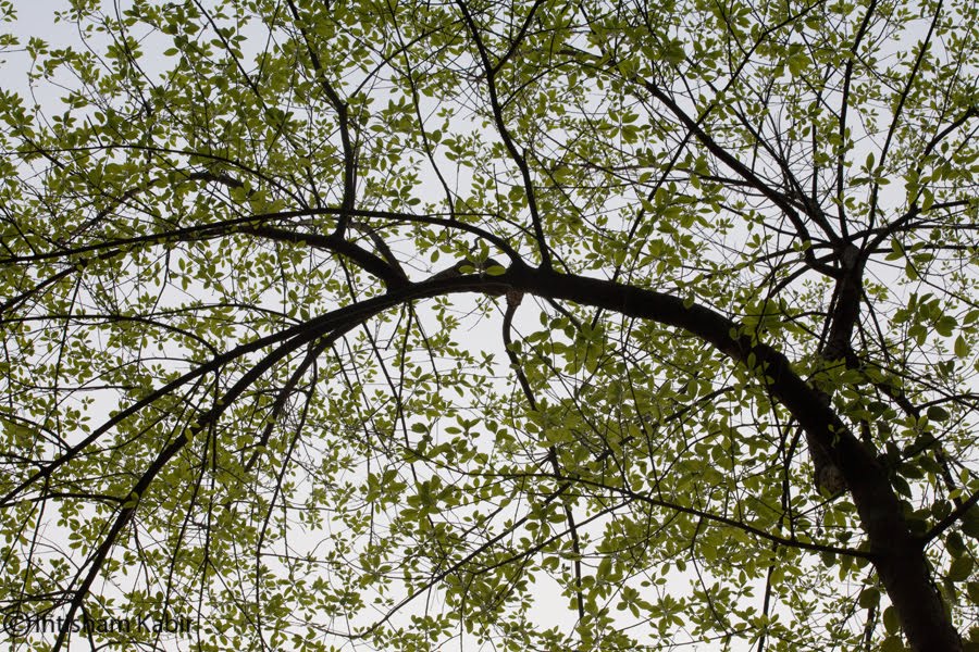 Back to Bangladesh: 21 from 2010