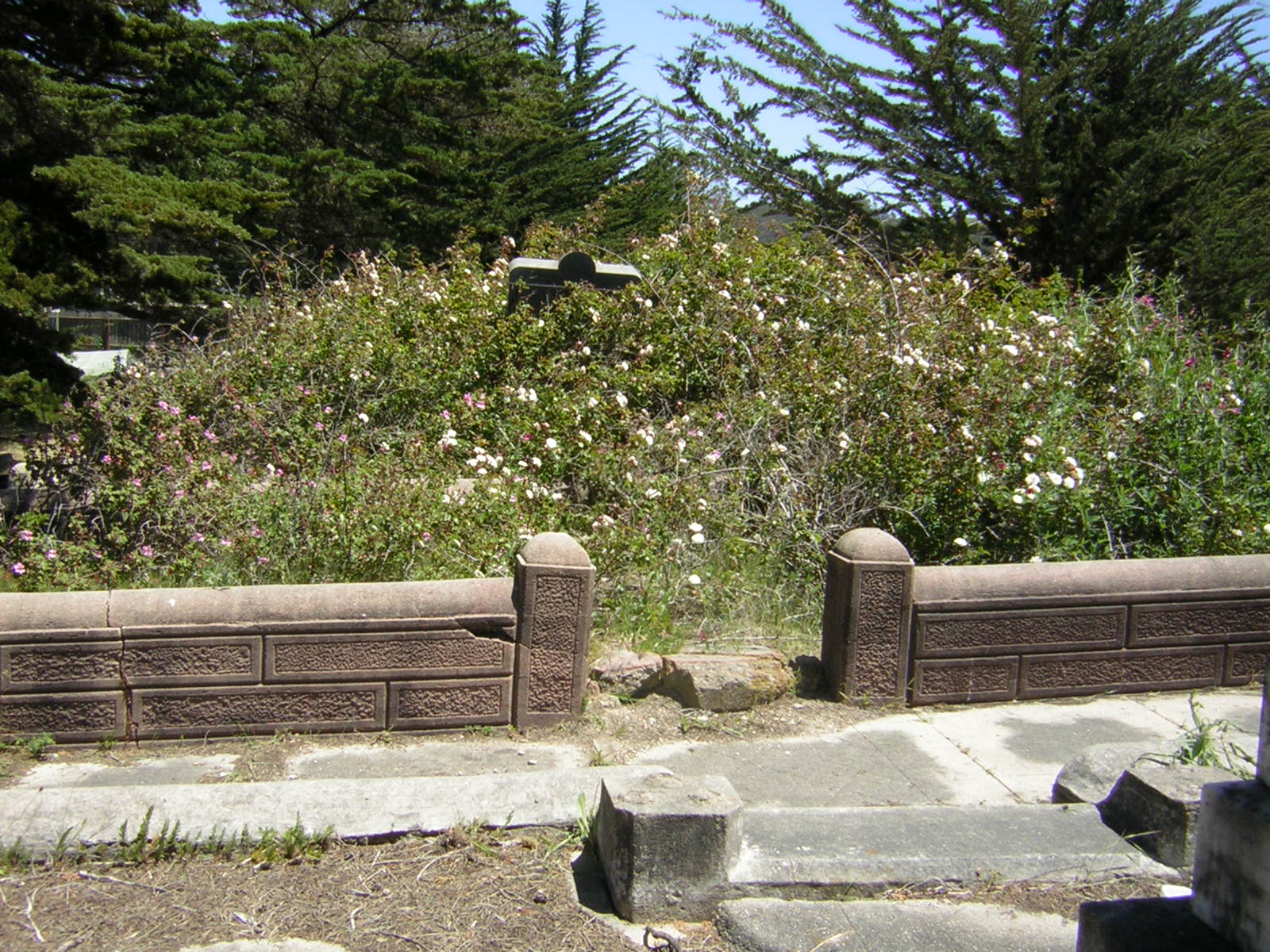 Grave Misgivings: Pilarcitos Cemetery and Oddfellows Cemetery, Half ...
