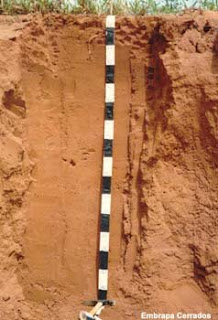 Geosphera: Latossolo