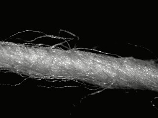 Exploring Textiles: YARN STRUCTURE AND PROPERTY RELATIONSHIP FOR ...