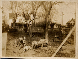 Delaware Setter and Pointer Club