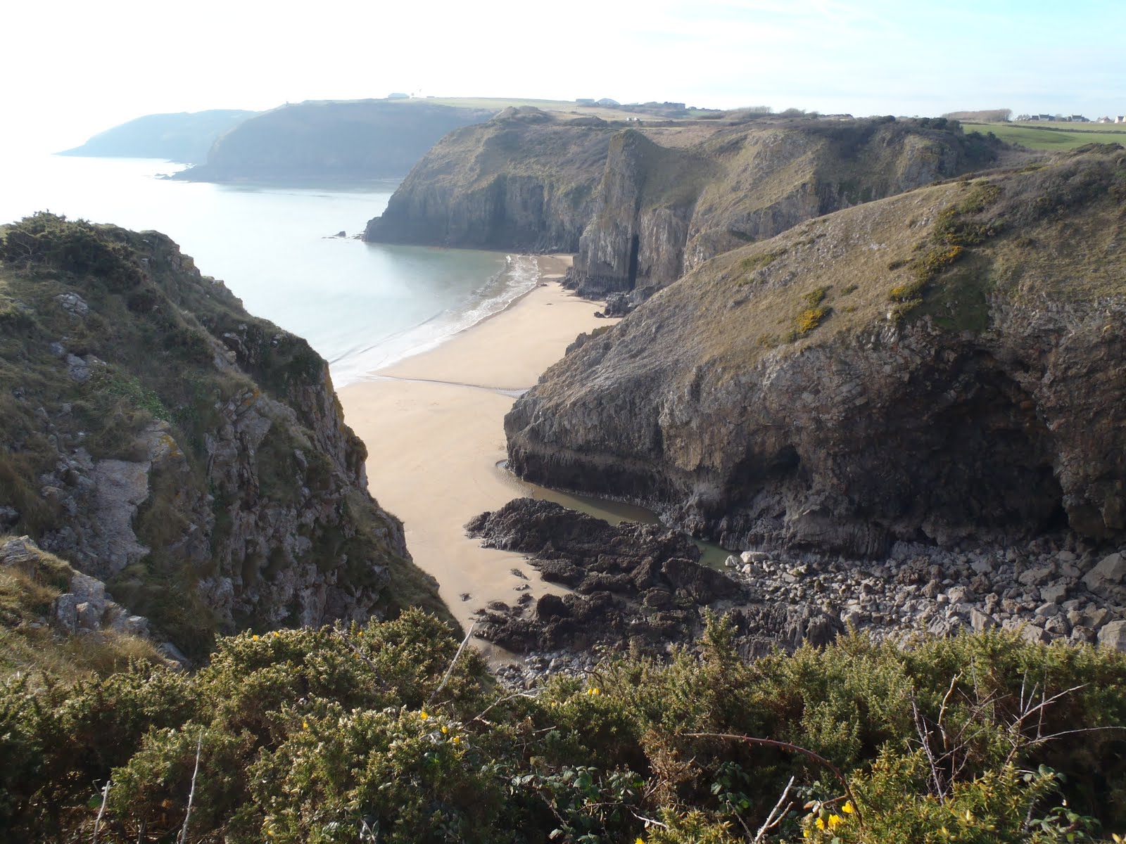 ForeverYoung: Lydstep Head