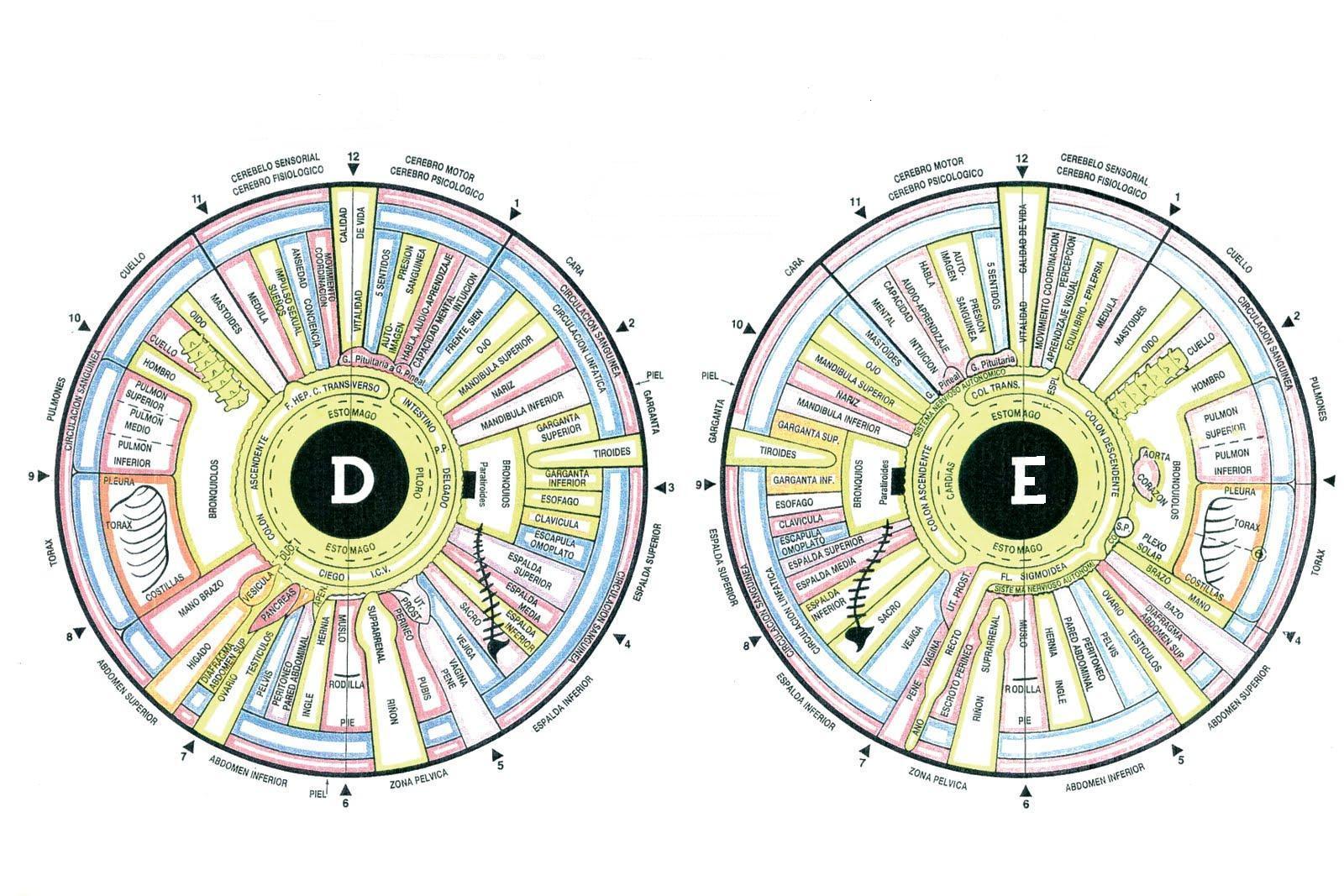 Espaço ViaSol: Iridologia