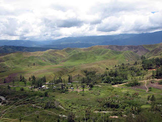 Malum Nalu: Bulolo MP makes a 'sweet' move to honey