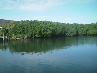 Malum Nalu: Pictures of Bootless Bay, Port Moresby, Papua New Guinea