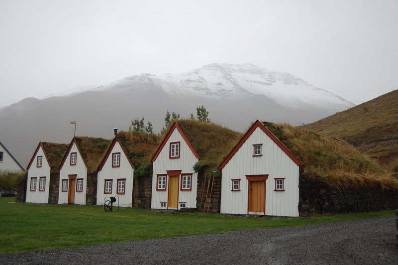 Green Roof (rumah dengan atap rumput) ~ Blog Serba Serbi