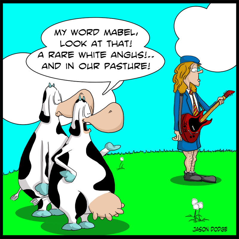 Jason's Drawing Board: 2011