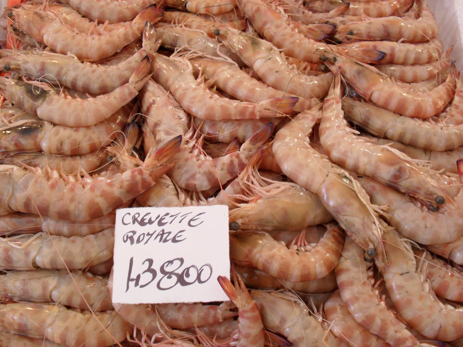 brightly coloured sunflowers: Selection of seafood from the market at ...