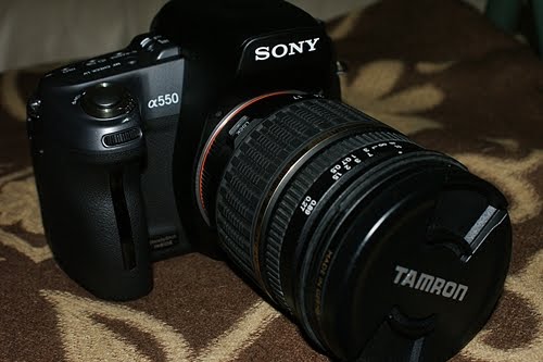 little Joy: SONY Alpha 550!