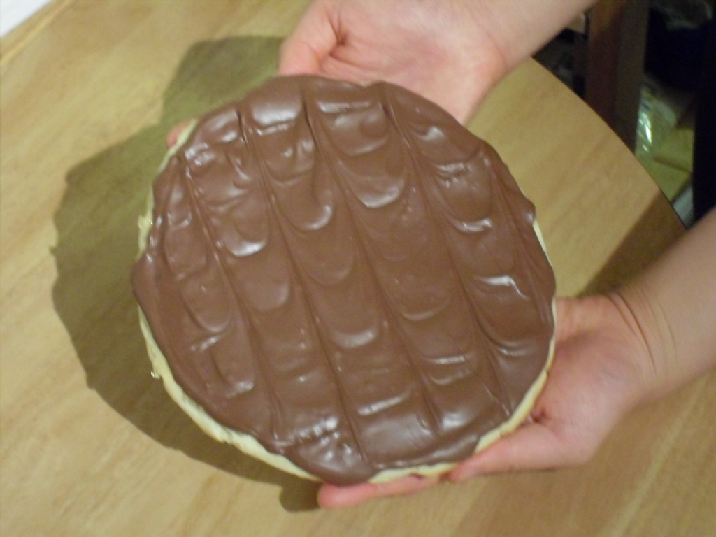 The Fruits of My Labour: Giant Jaffa Cake
