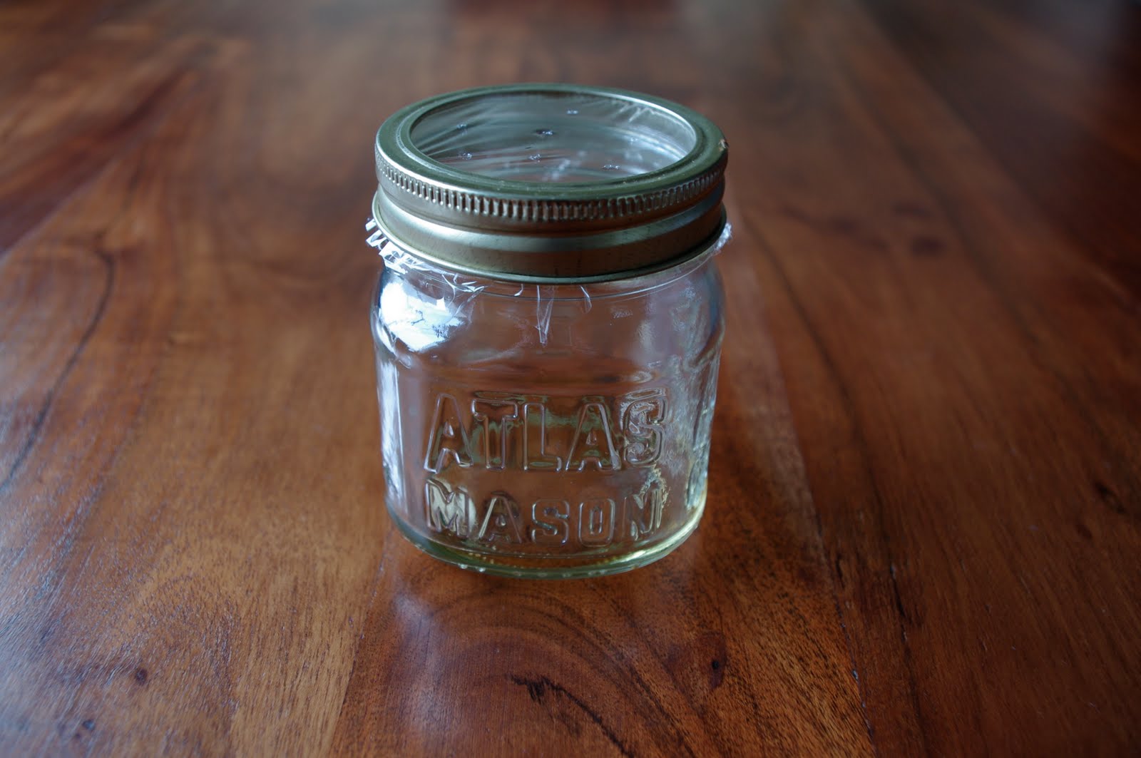 Creative "Try"als: Homemade Fruit Fly Trap