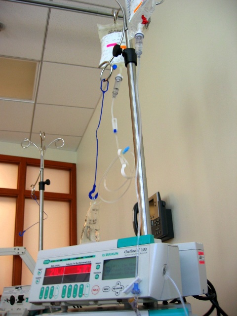 Sarah Sprinkles: 2010