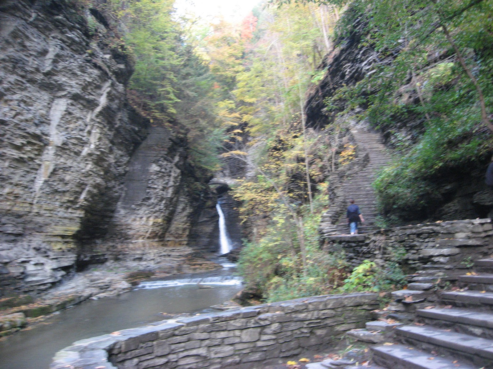 New Jersey Oma: More upstate New York