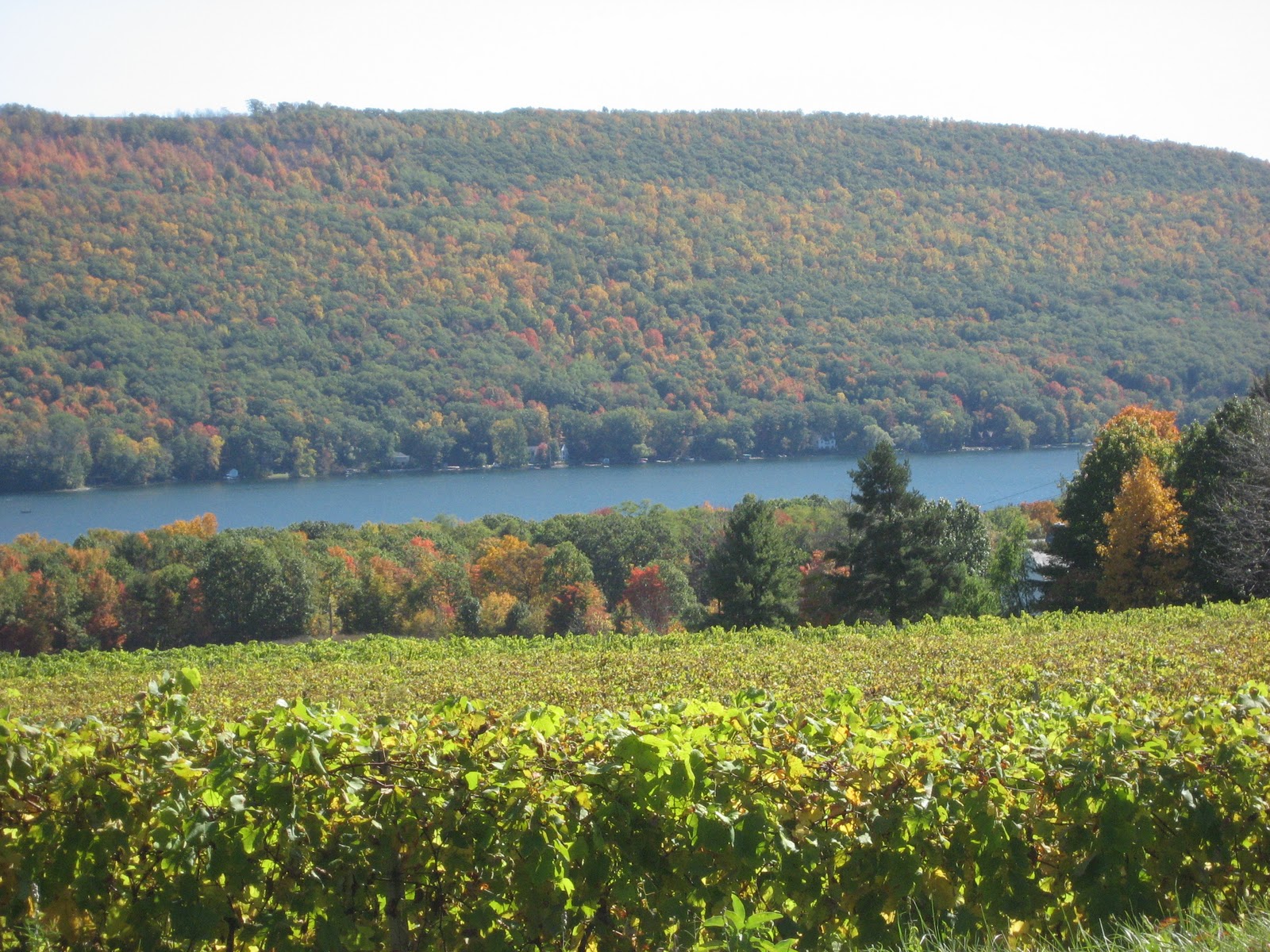 New Jersey Oma: More upstate New York