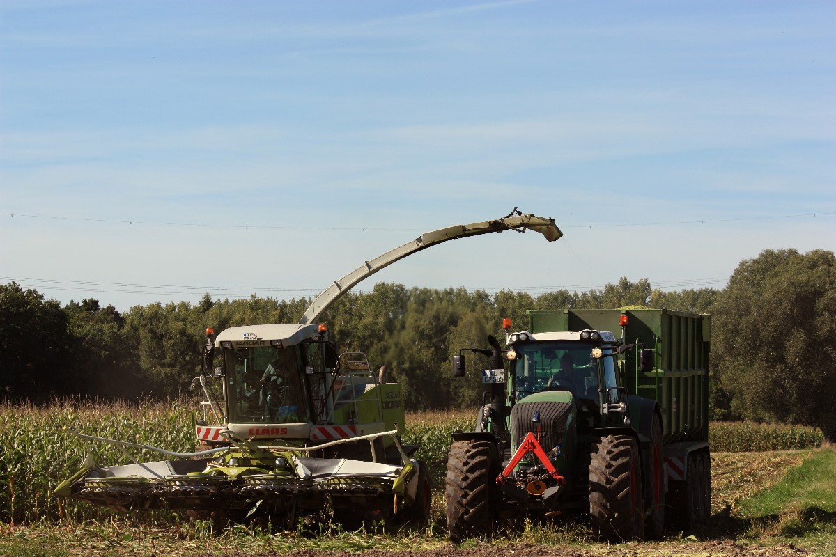 Biogasanlage Lambsborn: Ernte Plus