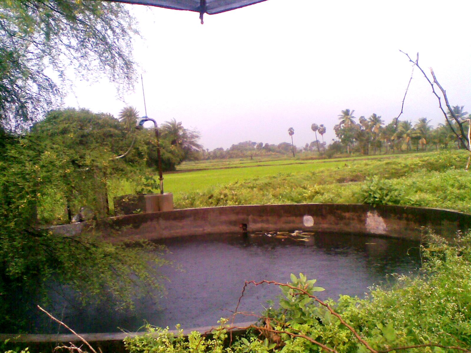 மாங்குளம் கிராமம் உங்களை வரவேற்கிறது[MANGULAM VILLAGE WELCOMES YOU ...