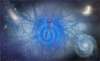 Paradigmas de la Investigación: TEORIA HOLISTICA