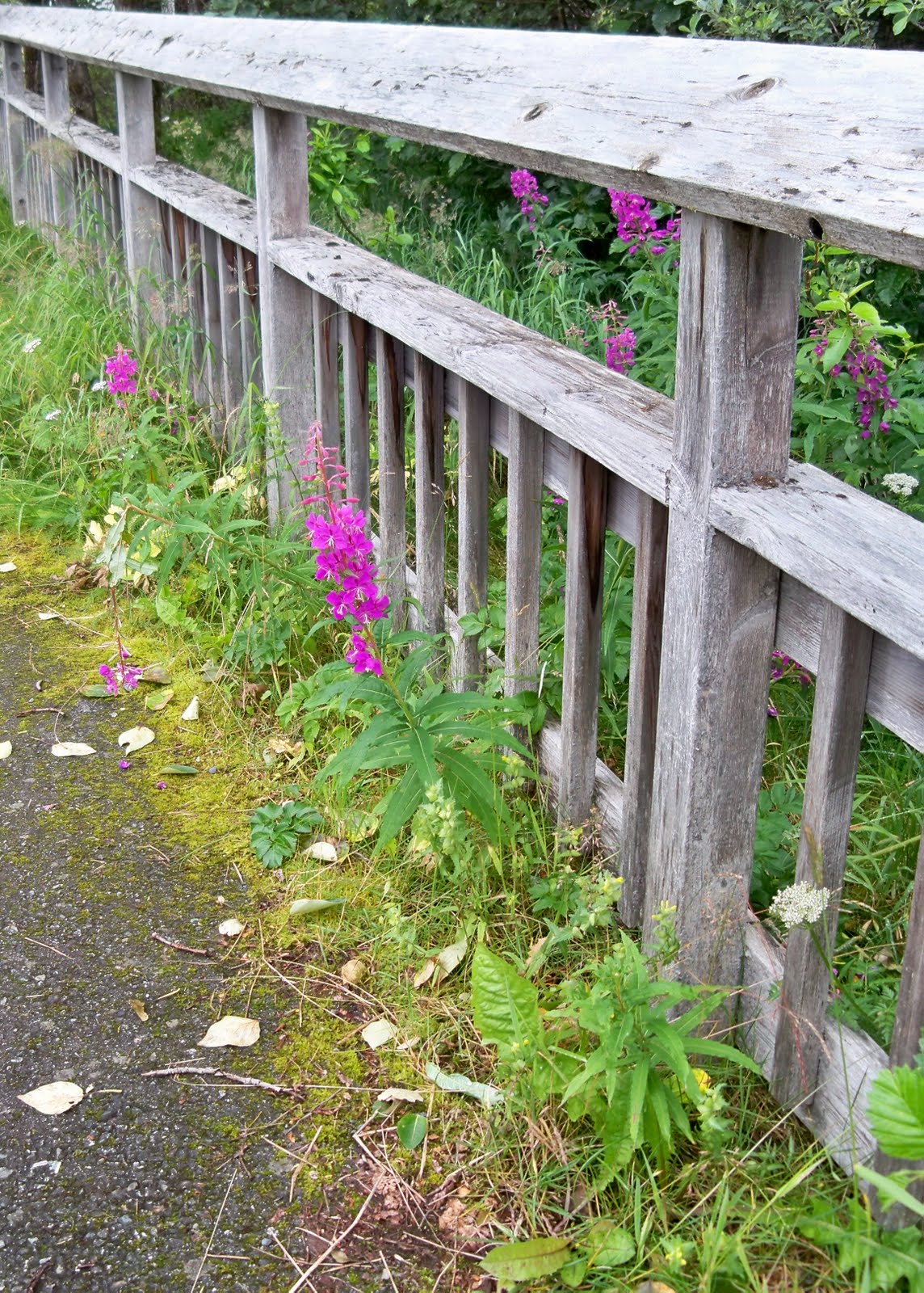 cake batter & paper scraps: Alaska: it's love/hate thing...