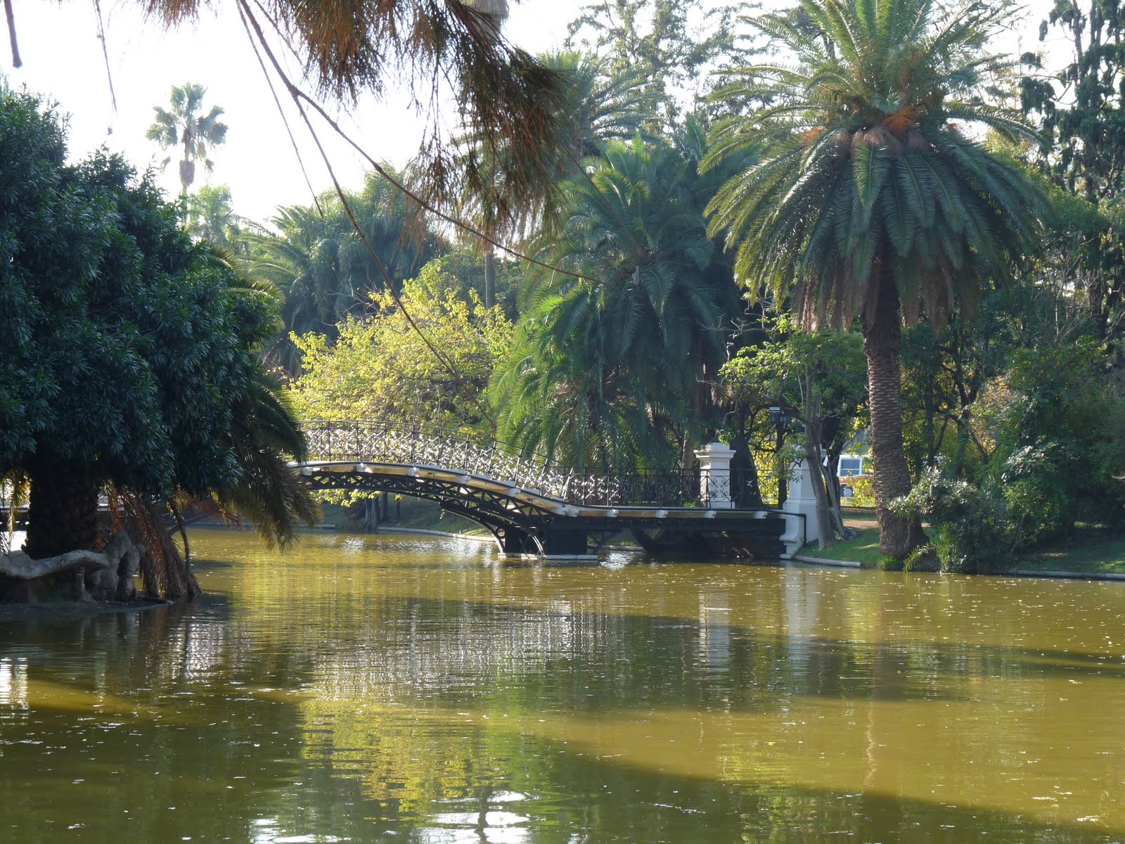 buenos aires x dos pesos: El Rosedad de Palermo