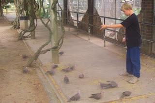 East London Photographs and Wild Ramblings: East London zoo free birds ...