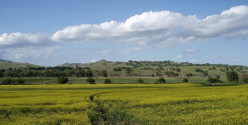 BRT Insights - WW Kayaking & Hiking: Bear Valley & Capay Valley ...