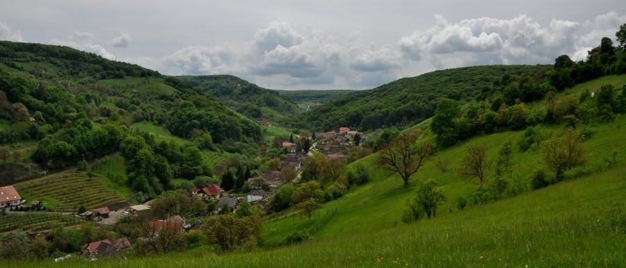 Sighisoara Transilvania - Partea 9 Pe dealuri - Dia's Blog - Dianora.ro