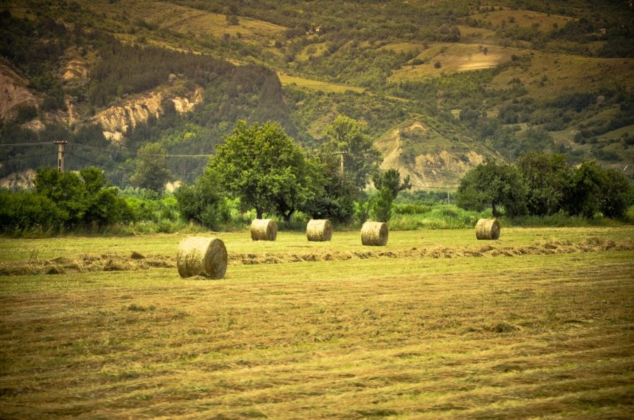 Dn 10 Buzau - Patarlagele - Nehoiu - Barajul Siriu - Intorsura Buzaului ...