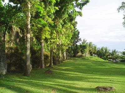 PHOTO BLOG: Litratong Pinoy - Luntian (Berde)