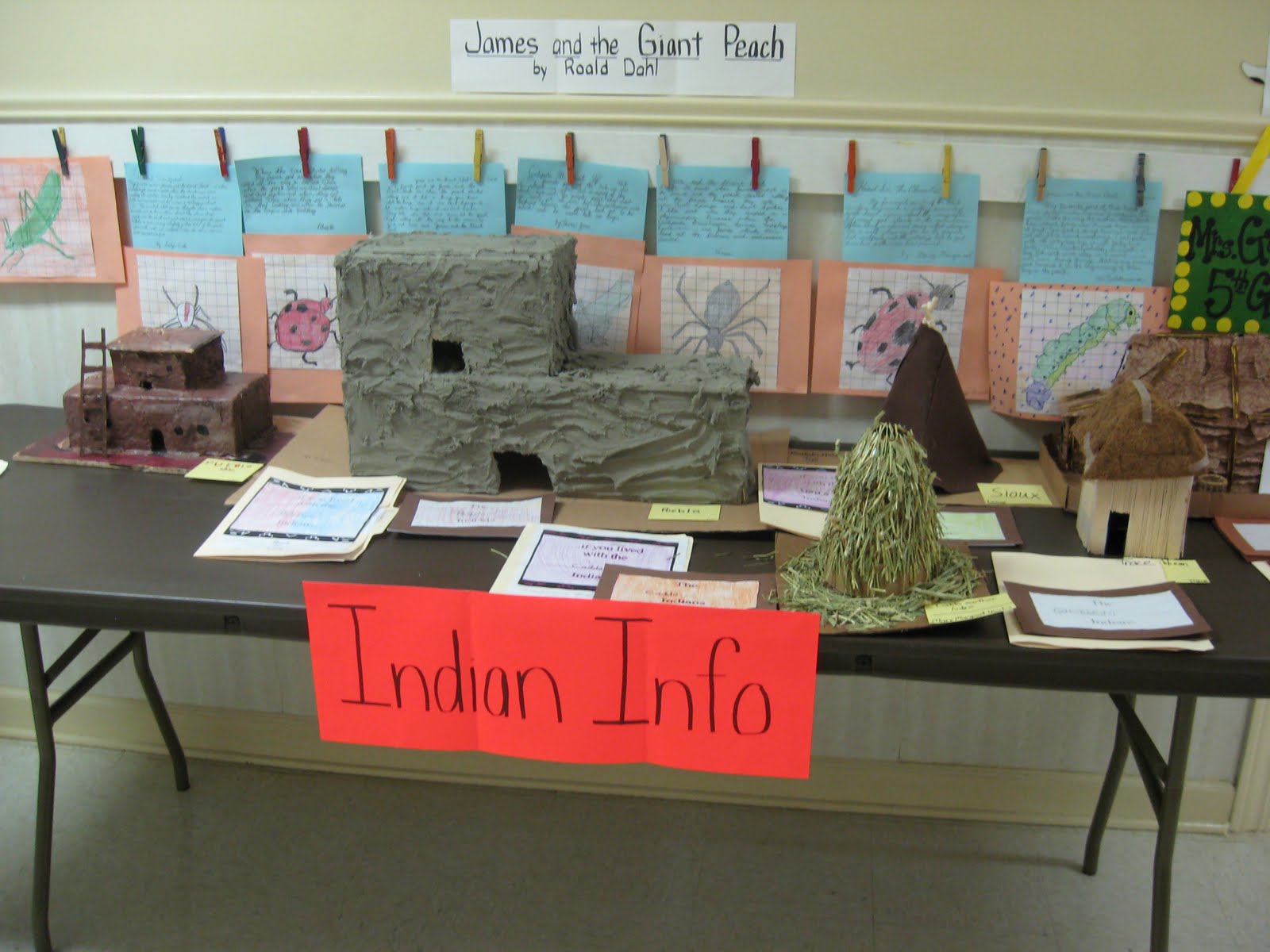 PDS 5th Grade: Indian Info
