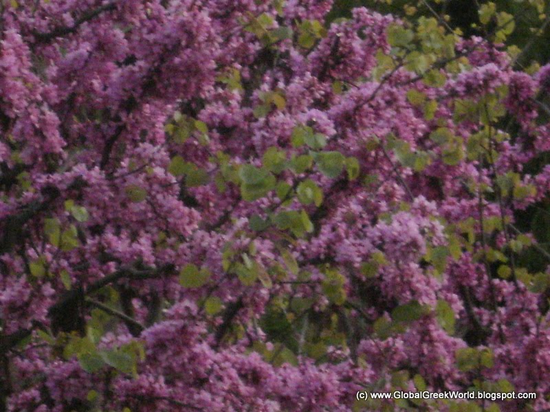 Global Greek World: May 2010