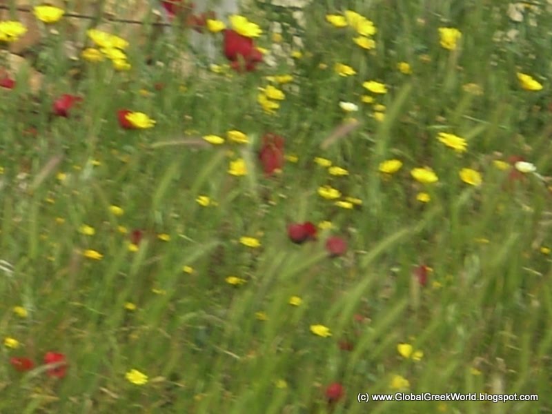 Global Greek World: 1st May 2010 - Happy May Day To All! Καλή ...