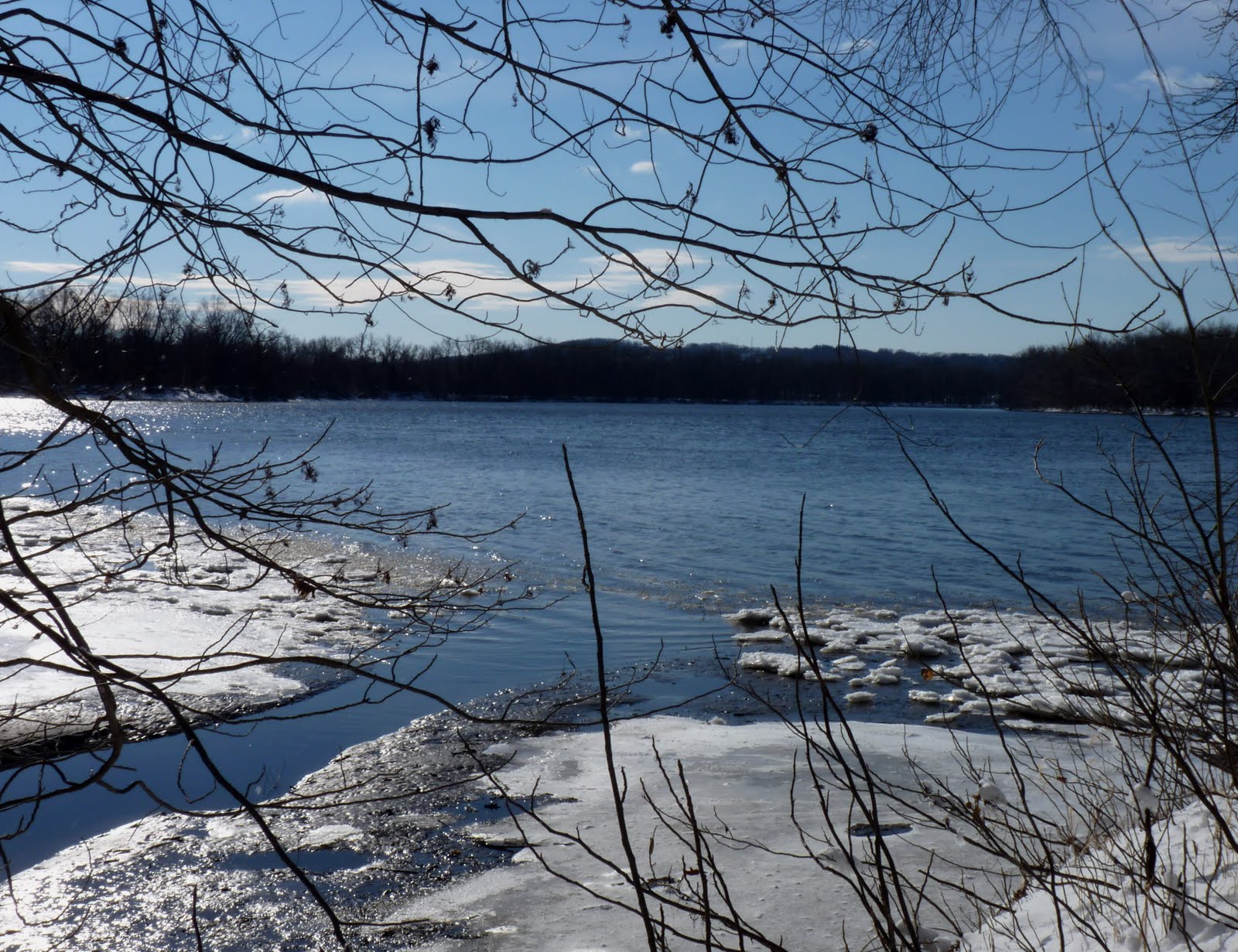 The Brownstone Birding Blog: My Stops Along The Big January Trail