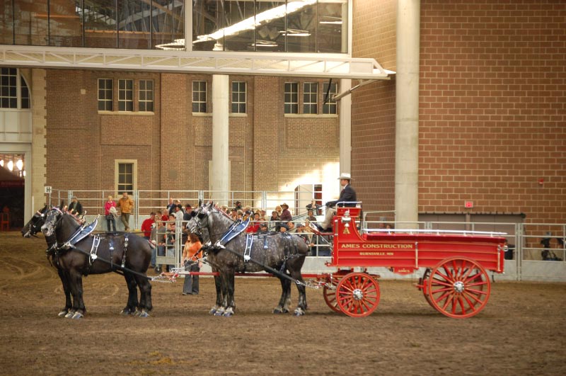 World Percheron Congress 2014: Friday October 29th Performance Classes