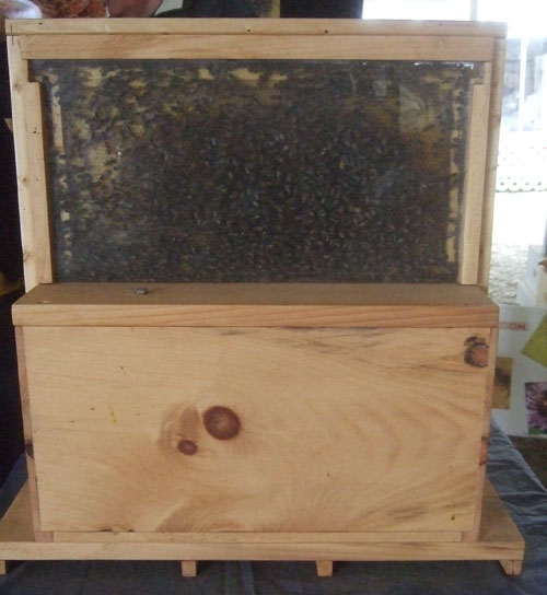 The Bee Journal: Ulster Observation hive